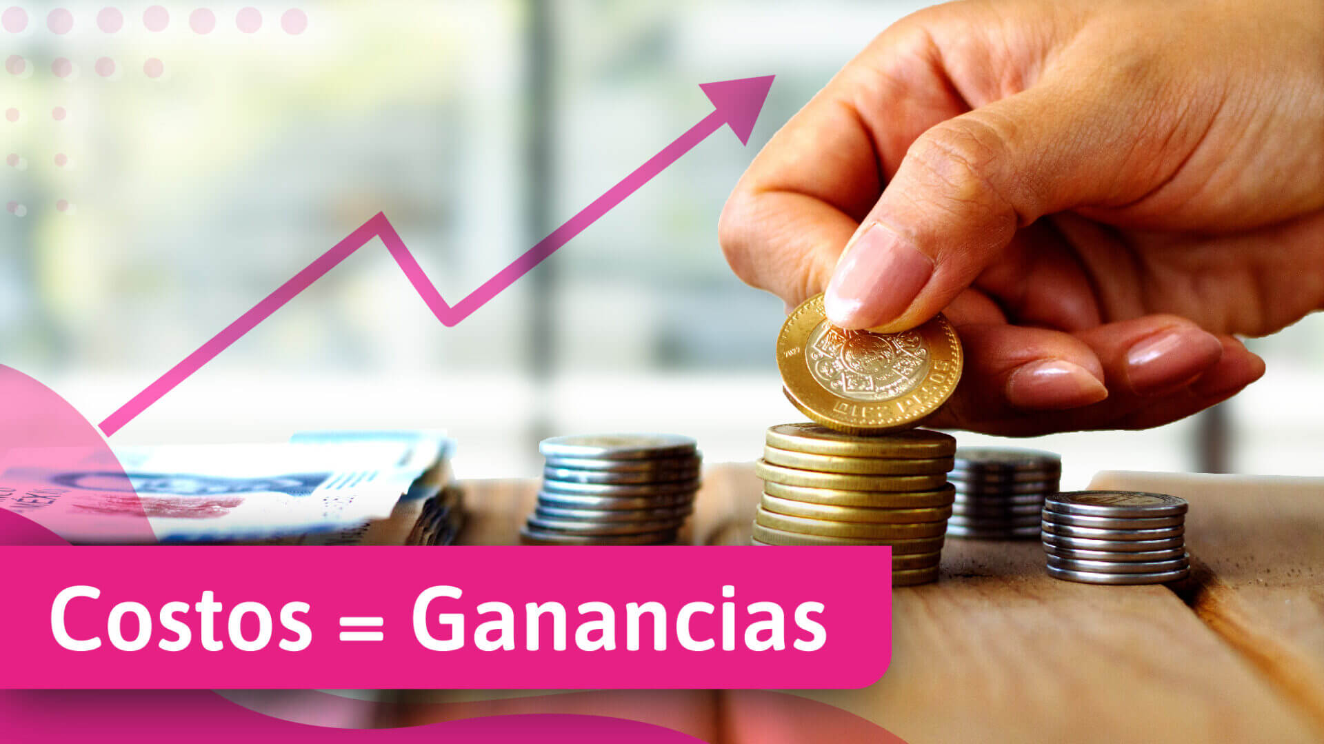 Ideas de Negocios Rentables y exitosos en México